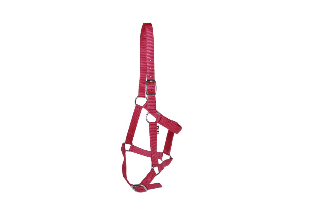 Nylon Web Halter