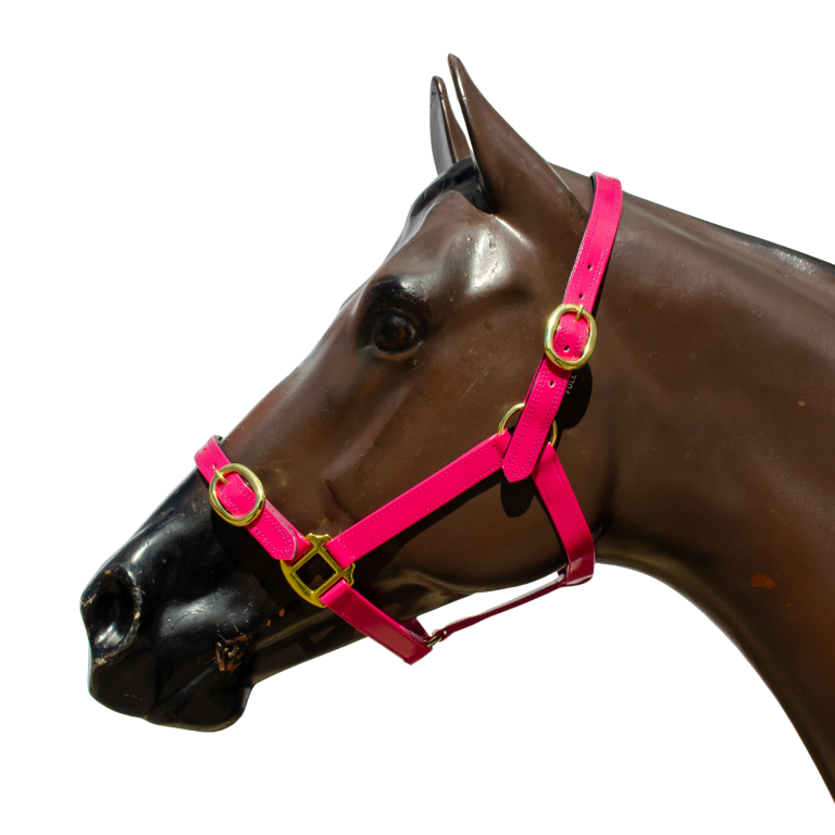 PVC Halter